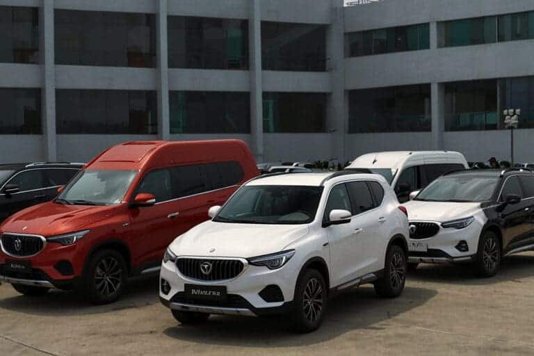 Understanding VinFast Problems 101: A Comprehensive Guide! | Amazing ...